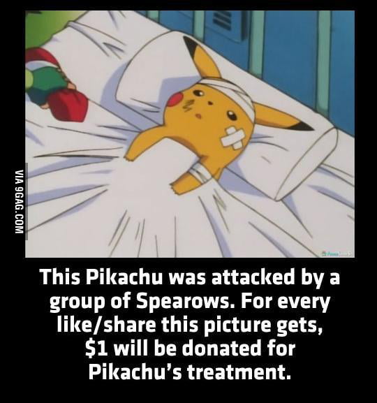 Like to help this pikachu recover - 9GAG