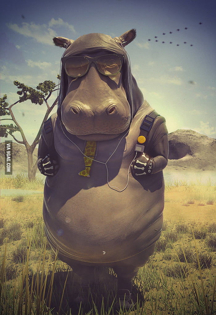 Hipster Hippo - 9GAG