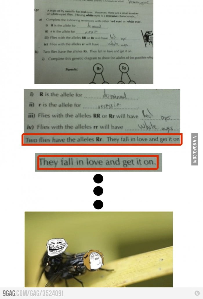 Epic Homework is Epic. - 9GAG