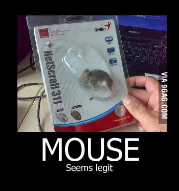 Seems legit : Mouse - 9GAG