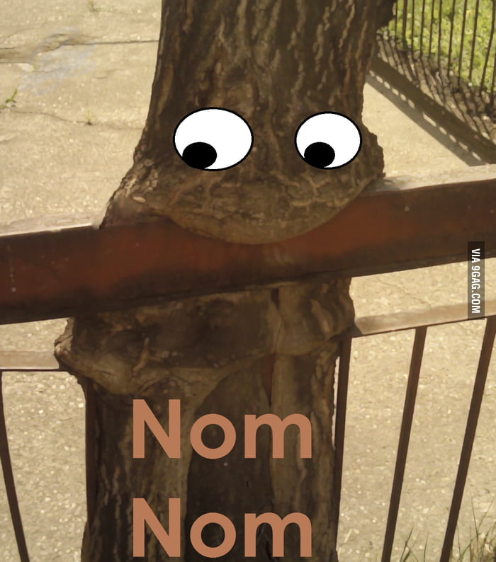 Nom Nom Tree - 9GAG