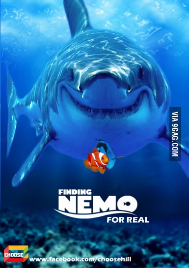 Finding Nemo .... for REAL! - 9GAG