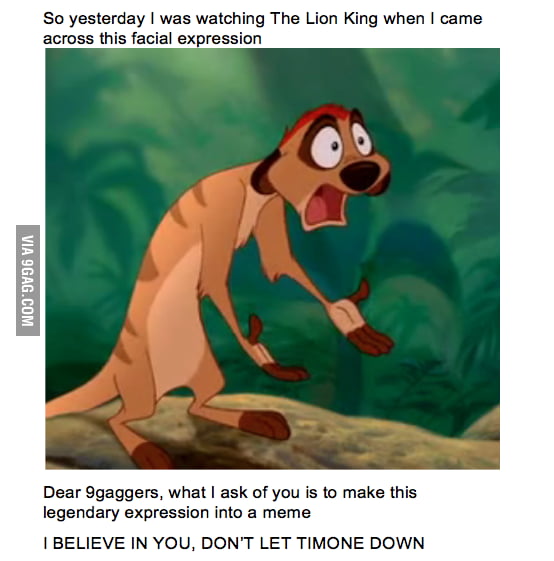 THE TIMONE MEME - 9GAG