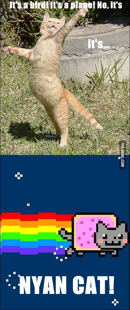It's Nyan Cat!! - 9GAG
