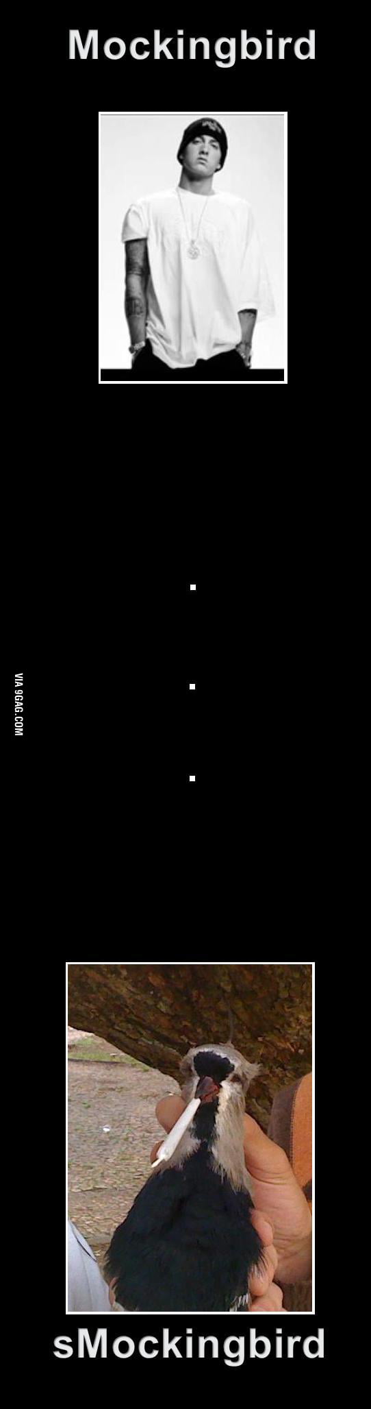 Mockingbird - Eminem - 9GAG