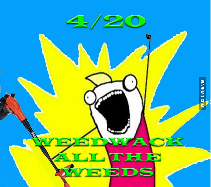 Four Twenty 9gag