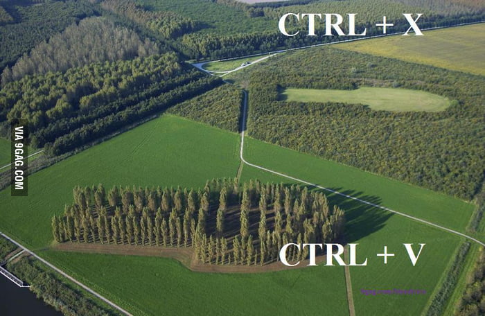 CTRL+X,CTRL+V - 9GAG