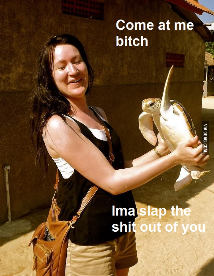 Badass turtle - 9GAG