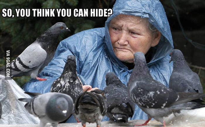So, you think you can hide? - 9GAG
