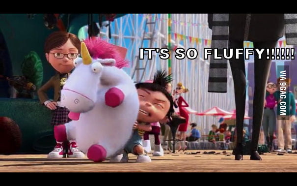 It's so fluffy I'm gonna die! - 9GAG