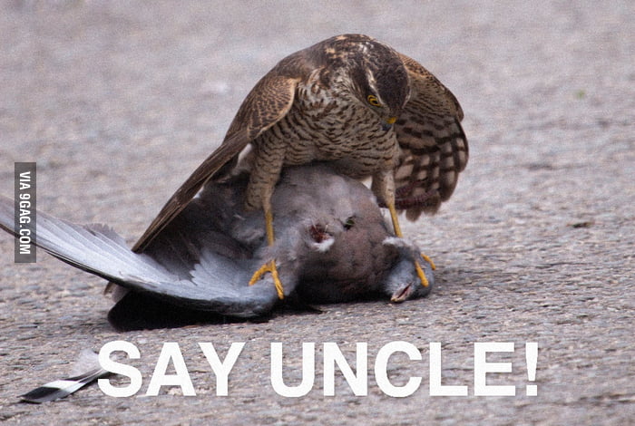 Say Uncle! - 9GAG
