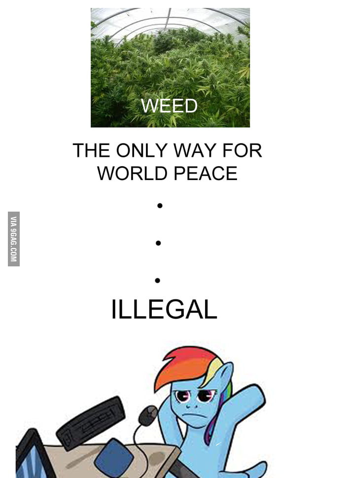 Seriously, illegal. - 9GAG