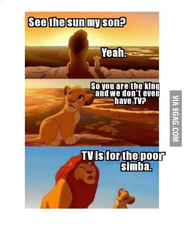 Stupid Simba - 9GAG