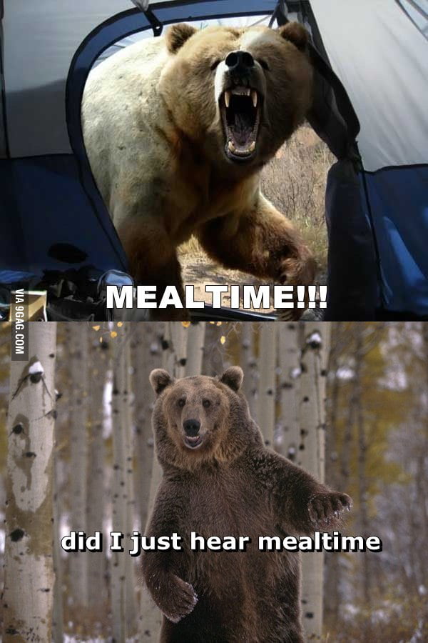 Just bears - 9GAG