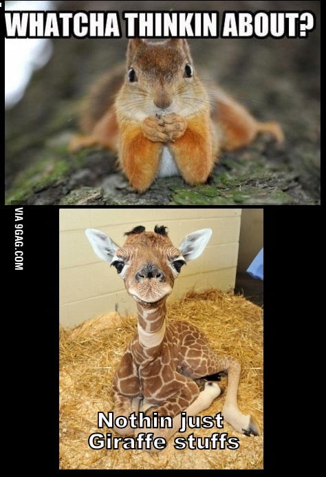 Whatcha thinkin? - 9GAG