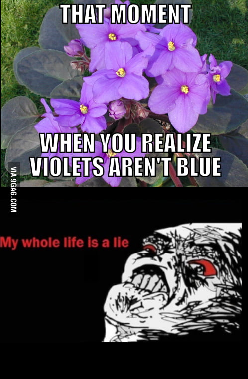 Violets... - 9GAG