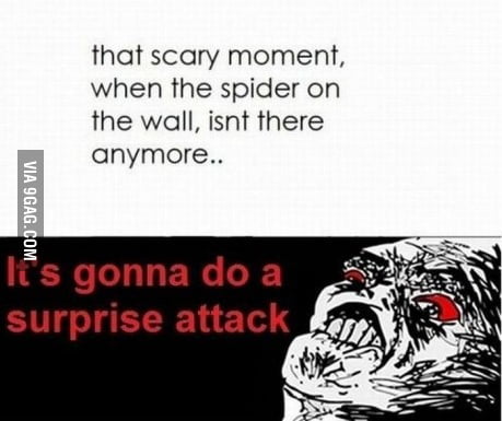 Surprise attack. - 9GAG