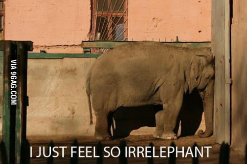 I just feel so irrelephant - 9GAG