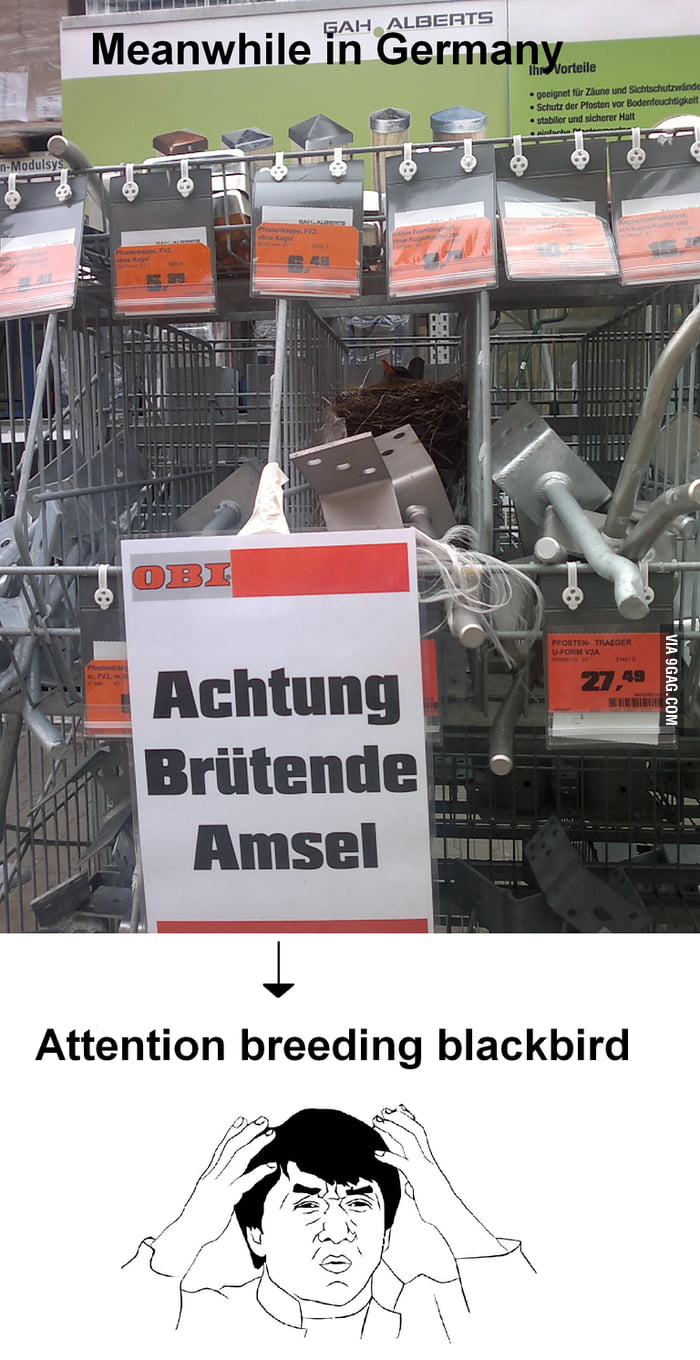 Meanwhile in Germany - 9GAG