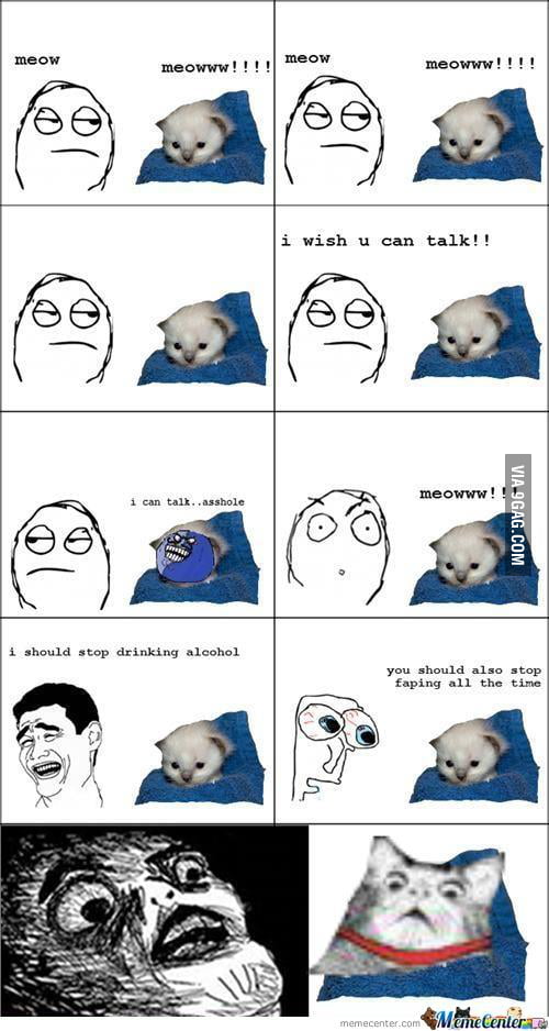 Cat language - 9GAG