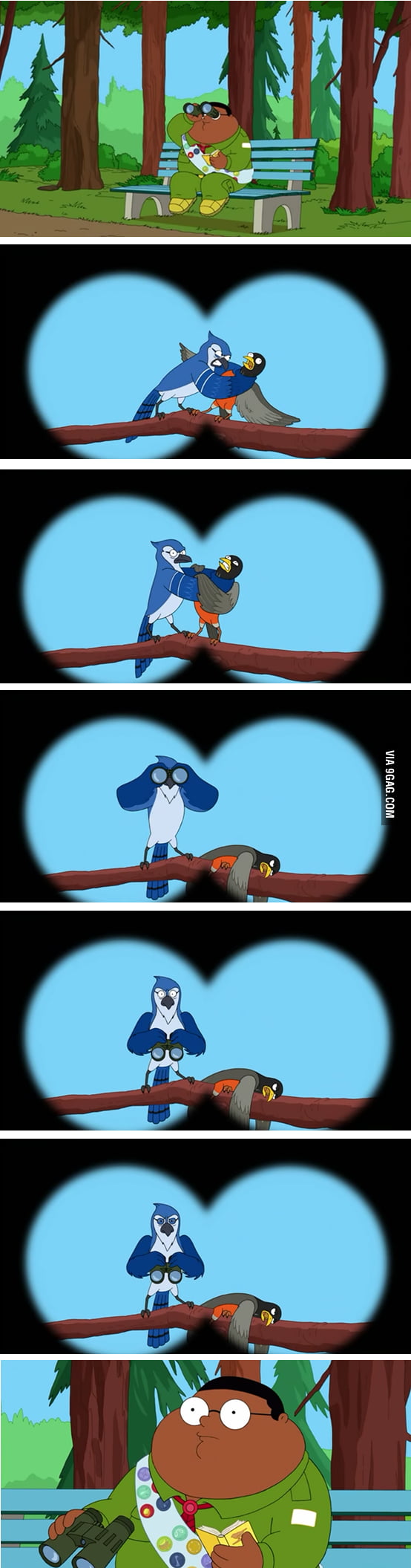 Just some Bird Watching - 9GAG