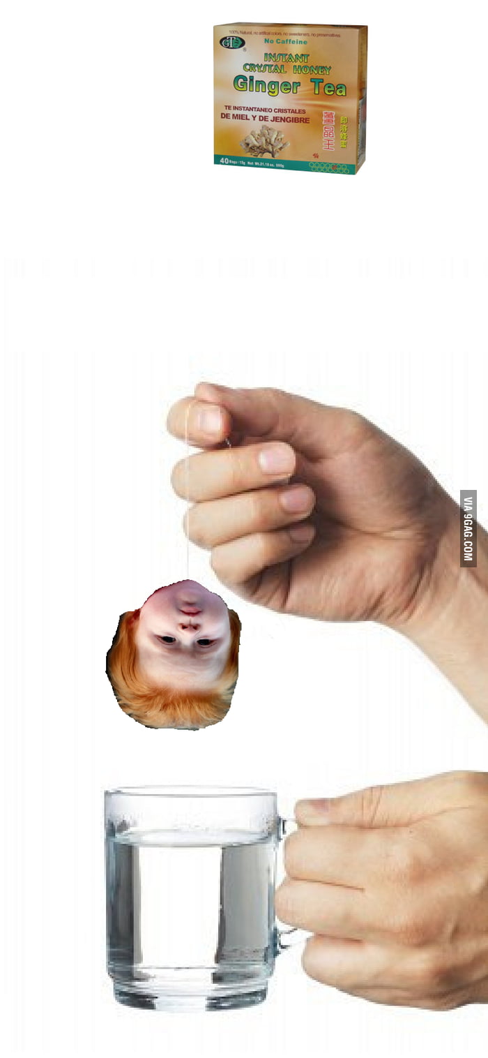 Ginger Tea - 9GAG