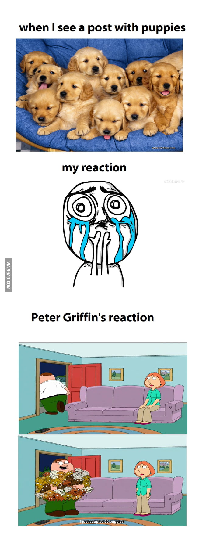 Good Peter, good! - 9GAG
