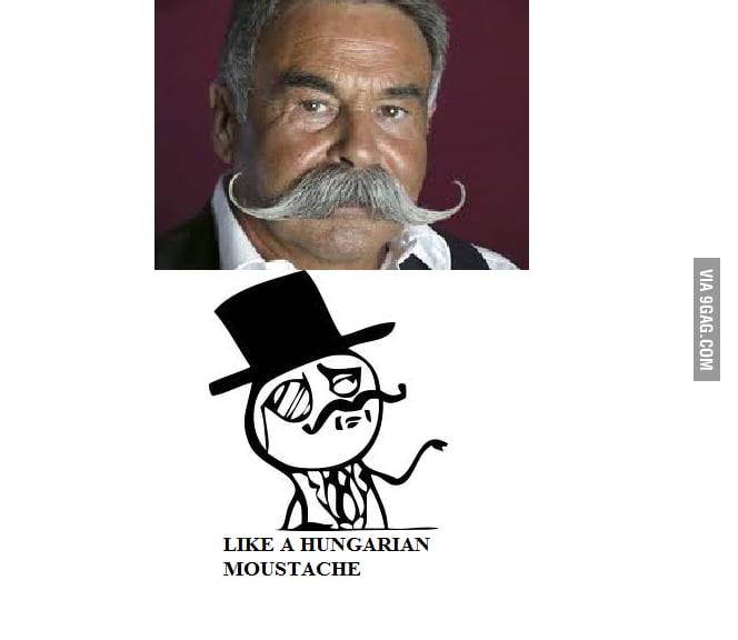 Like a Hungarian moustache - 9GAG
