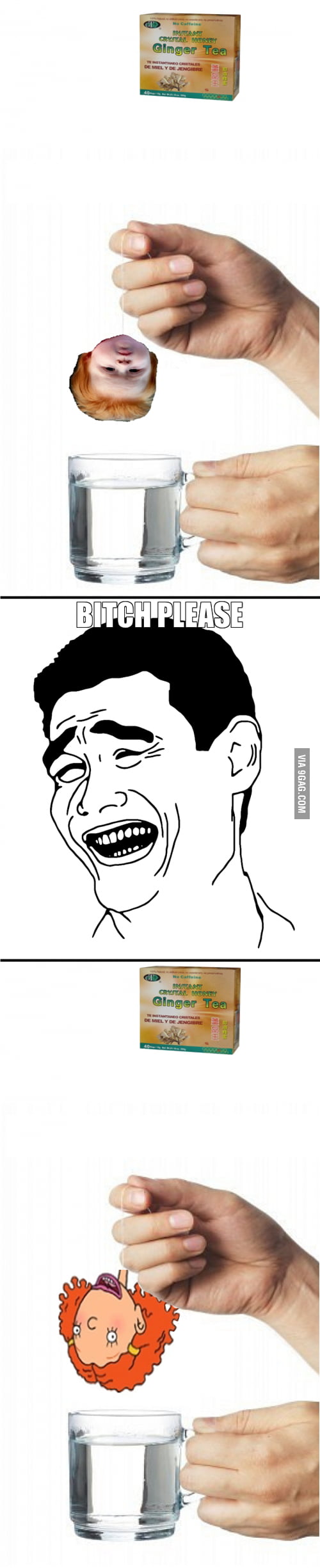 Ginger Tea Fix - 9GAG