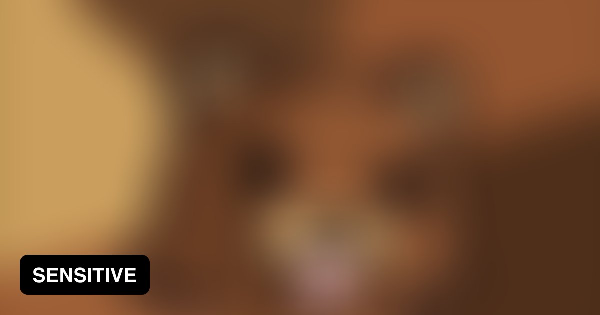 Pedobear strikes again! - 9GAG