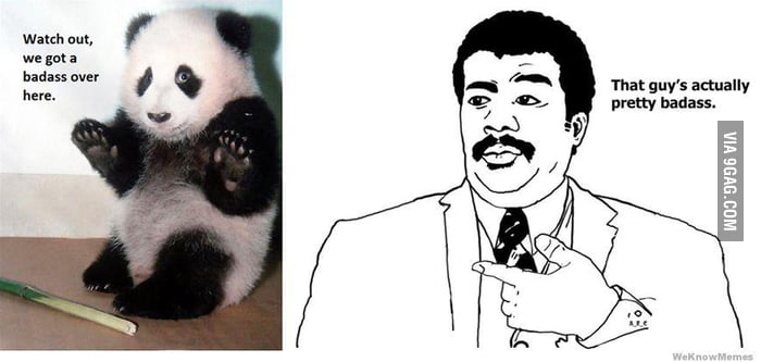 Badass Panda - 9GAG