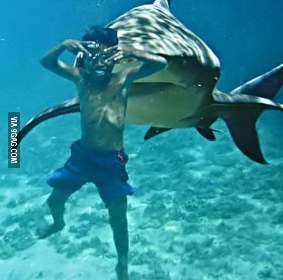 Die in 3... 2... 1... - 9GAG