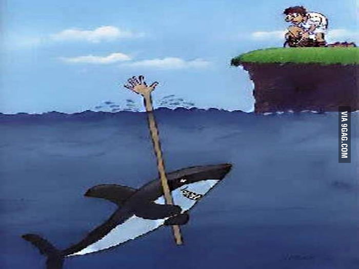 Troll shark.... - 9GAG