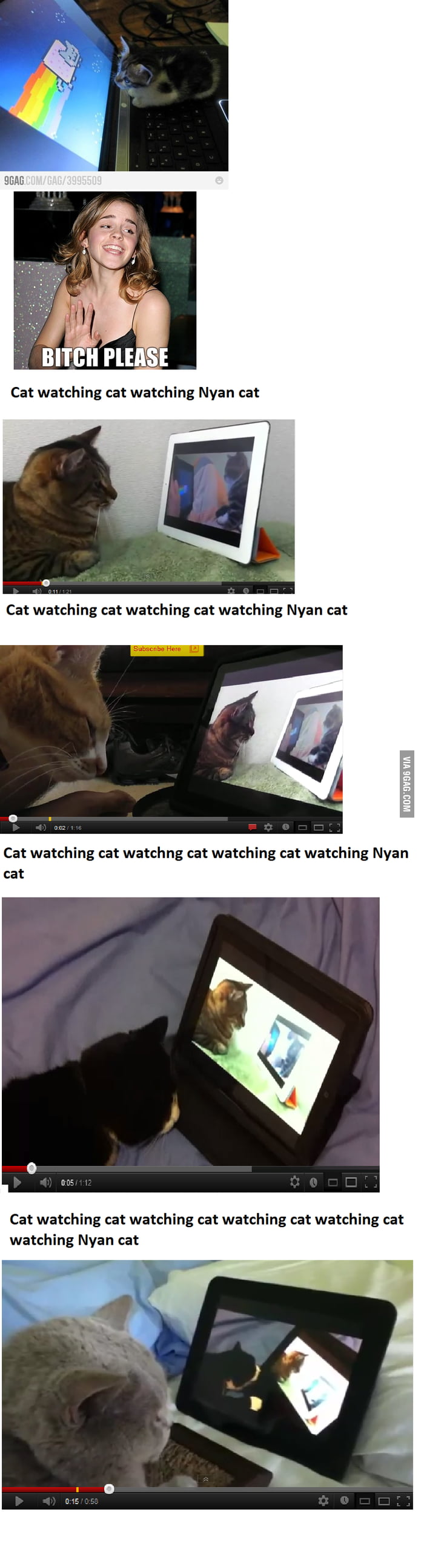 CATCEPTION - 9GAG