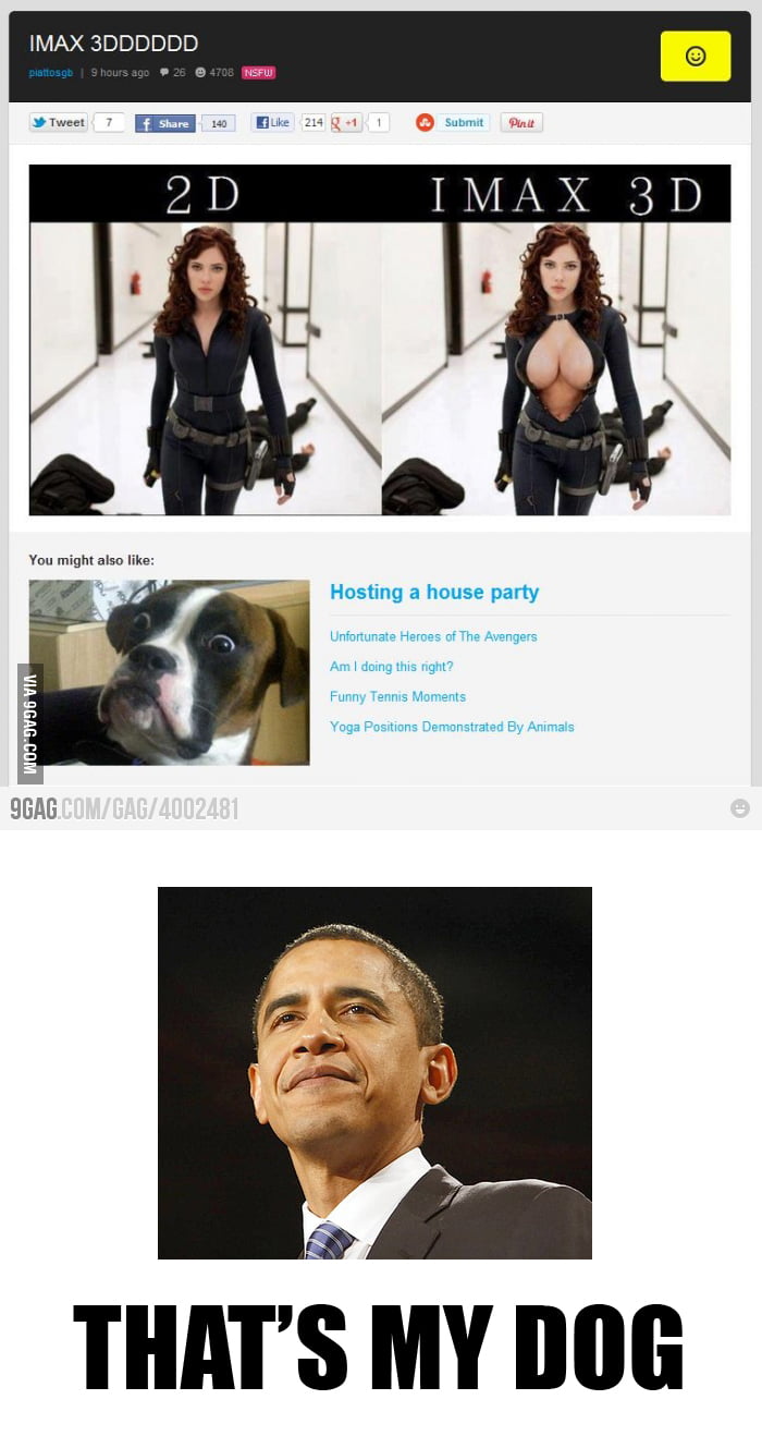 Not Bad Dog - 9GAG