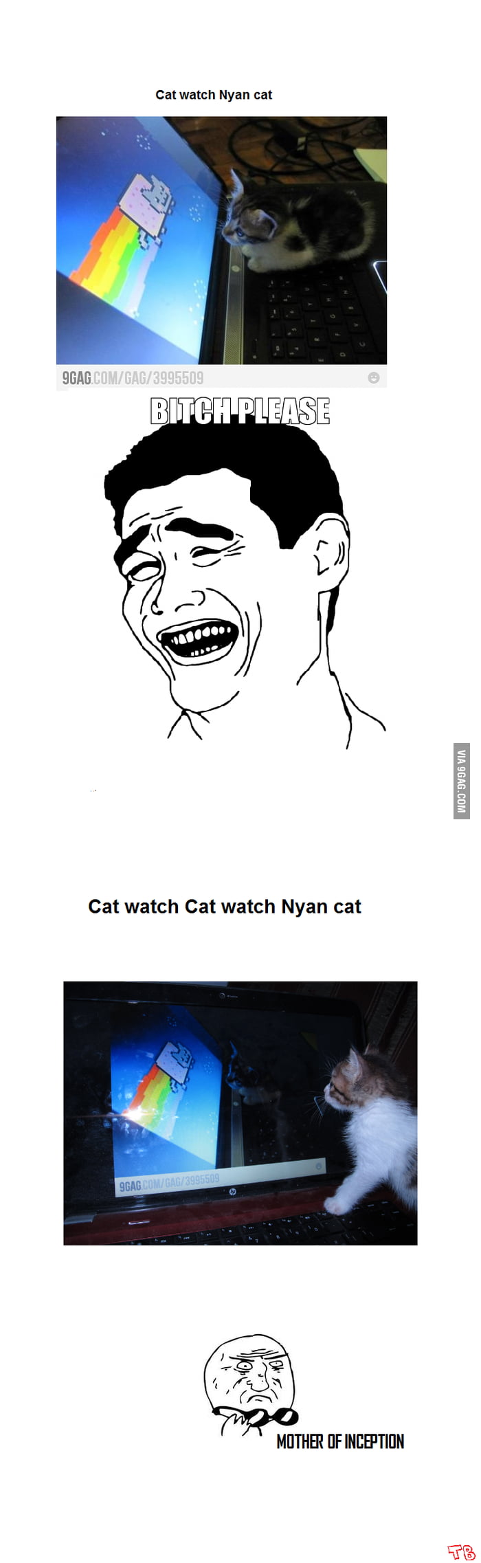 INCEPTION CAT - 9GAG