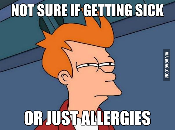 Identify yourself - 9GAG