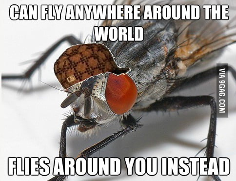 Scumbag Fly - 9GAG