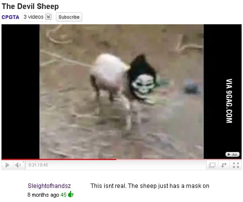 Devil Sheep - 9GAG