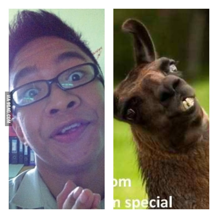 Pleaseeeeeee ~ ._. - 9GAG