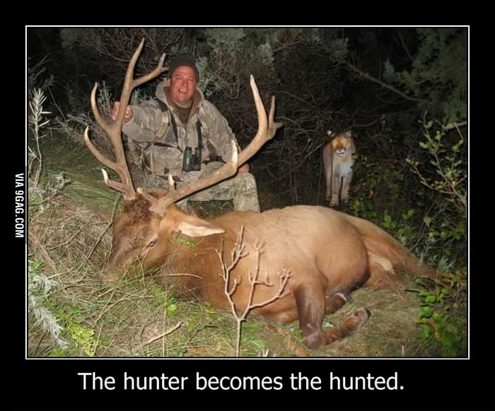 Hunter Becomes Hunted - 9GAG