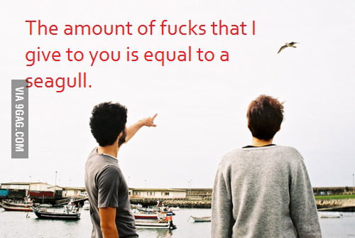 Amount of f**ks = Seagull - 9GAG