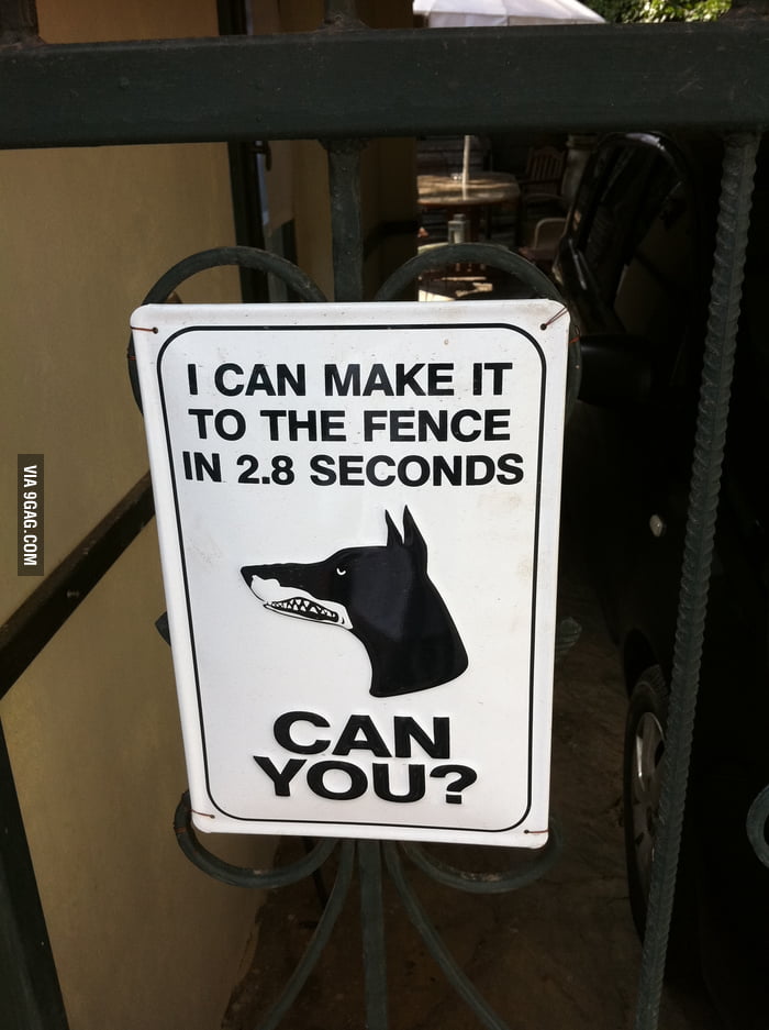 Pretty convincing - 9GAG