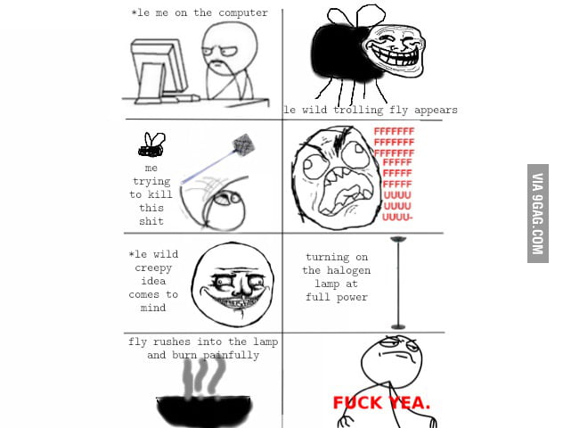 Trolling fly just got PWNED. - 9GAG