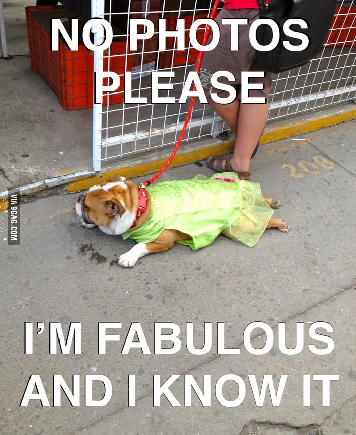 Fabulous B Tch 9gag