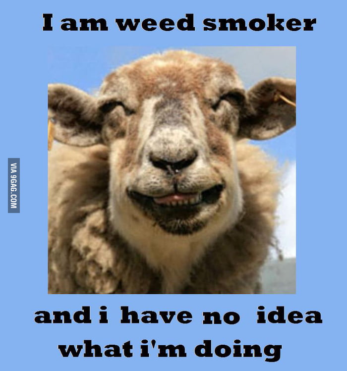 I am weed smoker - 9GAG