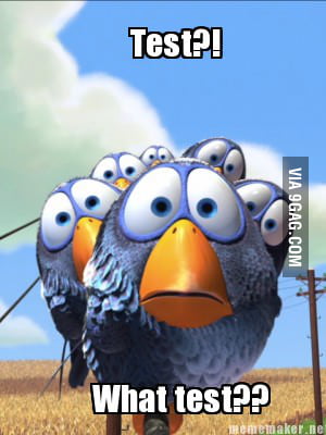 Shocked Birds - 9GAG