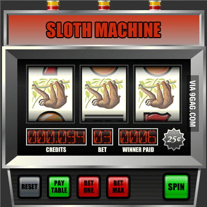 Also Sloths like gambling - 9GAG