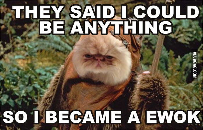 So I become a Ewok - 9GAG