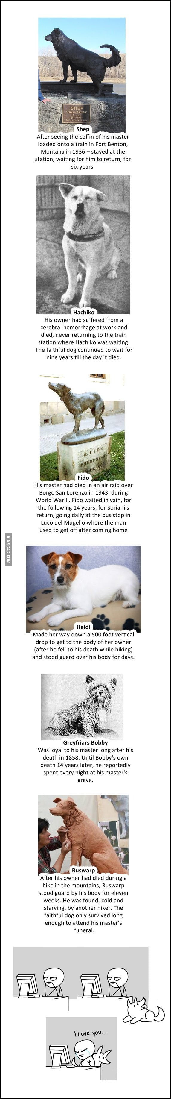 Love you b*tch - 9GAG